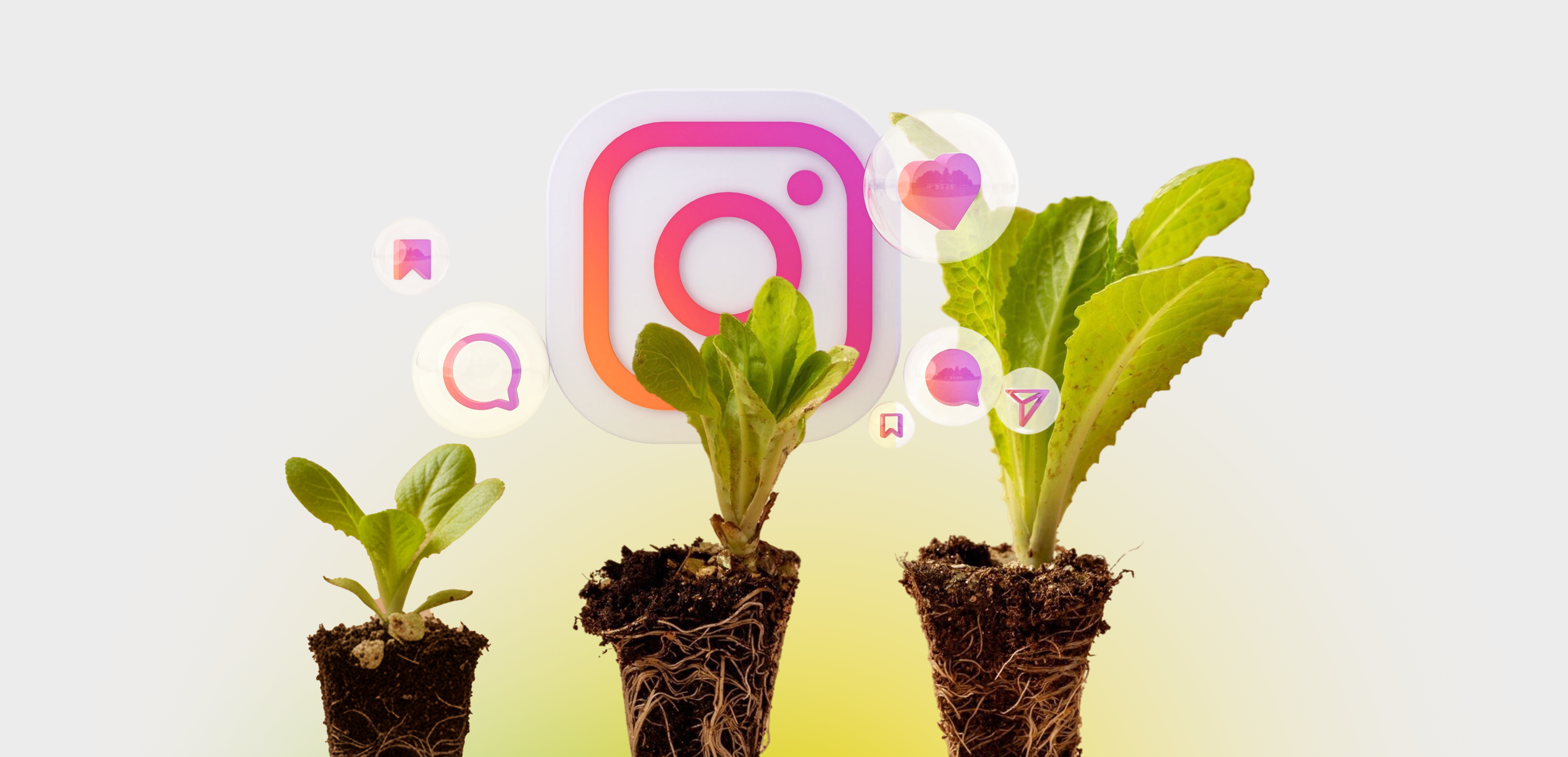 Want to Boost Instagram Followers in 2026? Here's a Data-Driven Guide ...